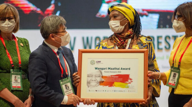 Dr. Wangari Maathai: The Fearless Environmentalist and Human Rights ...